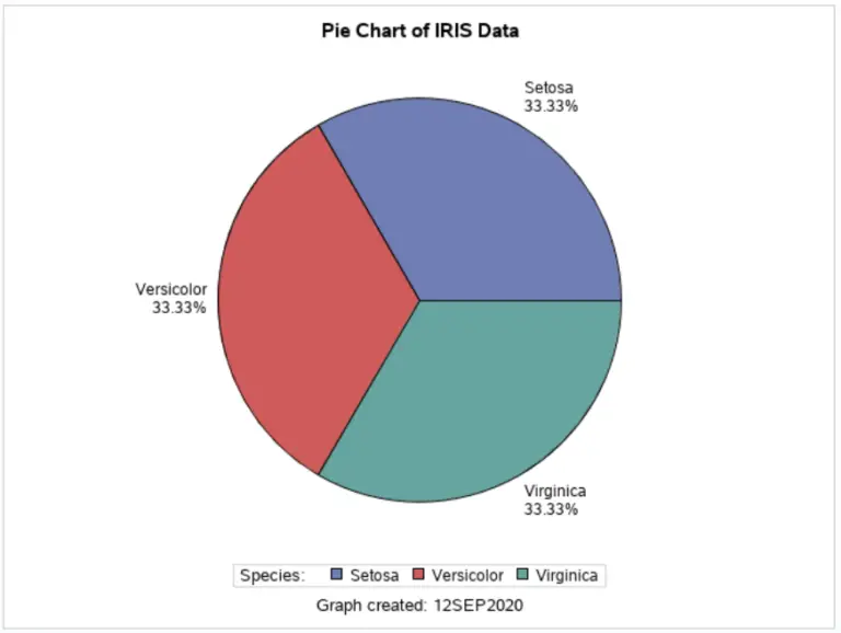 Learn How To Create Beautiful Pie Charts in SAS - SAS Example Code