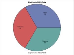 Learn How To Create Beautiful Pie Charts in SAS - SAS Example Code