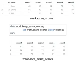 How to Use the Colon Modifier for Efficient SAS Code