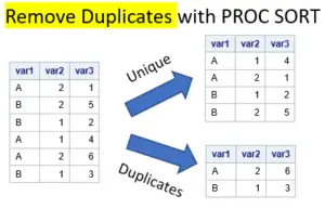 How to Easily Sort a Dataset in SAS - SAS Example Code