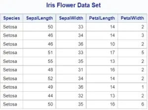 How to Easily Create a Beautiful Title in SAS - SAS Example Code