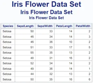 How to Easily Create a Beautiful Title in SAS - SAS Example Code