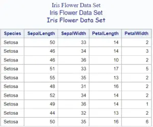 How to Easily Create a Beautiful Title in SAS - SAS Example Code