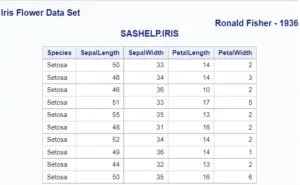 How to Easily Create a Beautiful Title in SAS - SAS Example Code