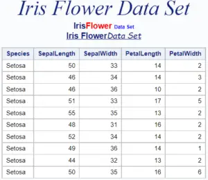 How to Easily Create a Beautiful Title in SAS - SAS Example Code