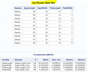 How to Easily Create a Beautiful Title in SAS - SAS Example Code