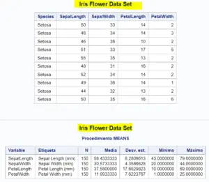 How to Easily Create a Beautiful Title in SAS - SAS Example Code